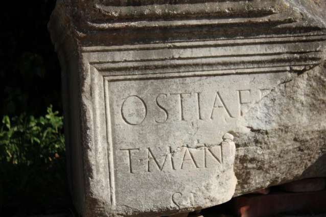 Private and guided visit of Ancient Ostia, Departing from Rome