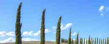 3-Days driving yourself around the Wine area of the Chianti a in Tuscany